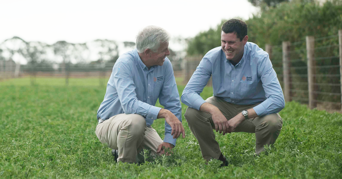 Insecticide Gaucho I SeedGrowth