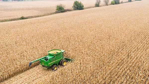 A win-win partnership for seed treatment in Serbia I SeedGrowth